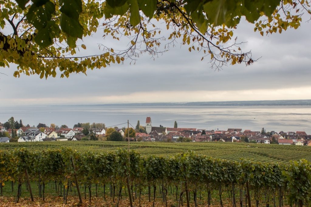 Hagnau am Bodensee zur Weinlese - kulinarische Tipps für Genießer