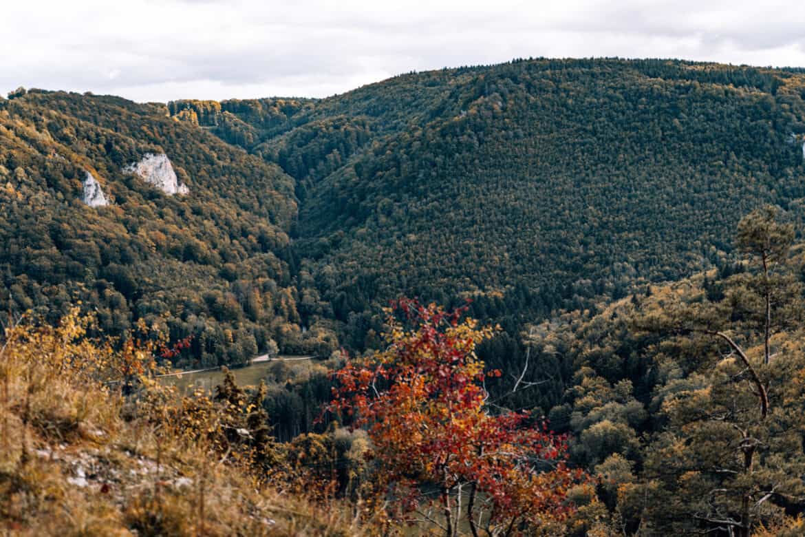 Wandern am Albtrauf – Meine Touren-Tipps für die Schwäbischen Alb