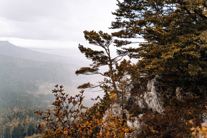 Wandern am Albtrauf – Meine Touren-Tipps für die Schwäbischen Alb
