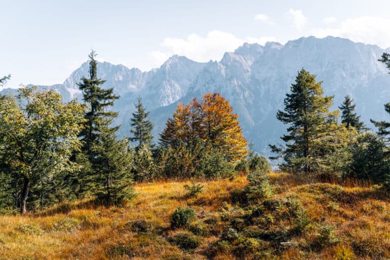 Wandern in Mittenwald - 10 familienfreundliche Genusstouren & Tipps